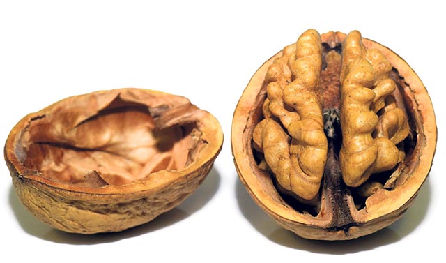 اخروٹ کے فوائد - الفَضل انٹرنیشنل